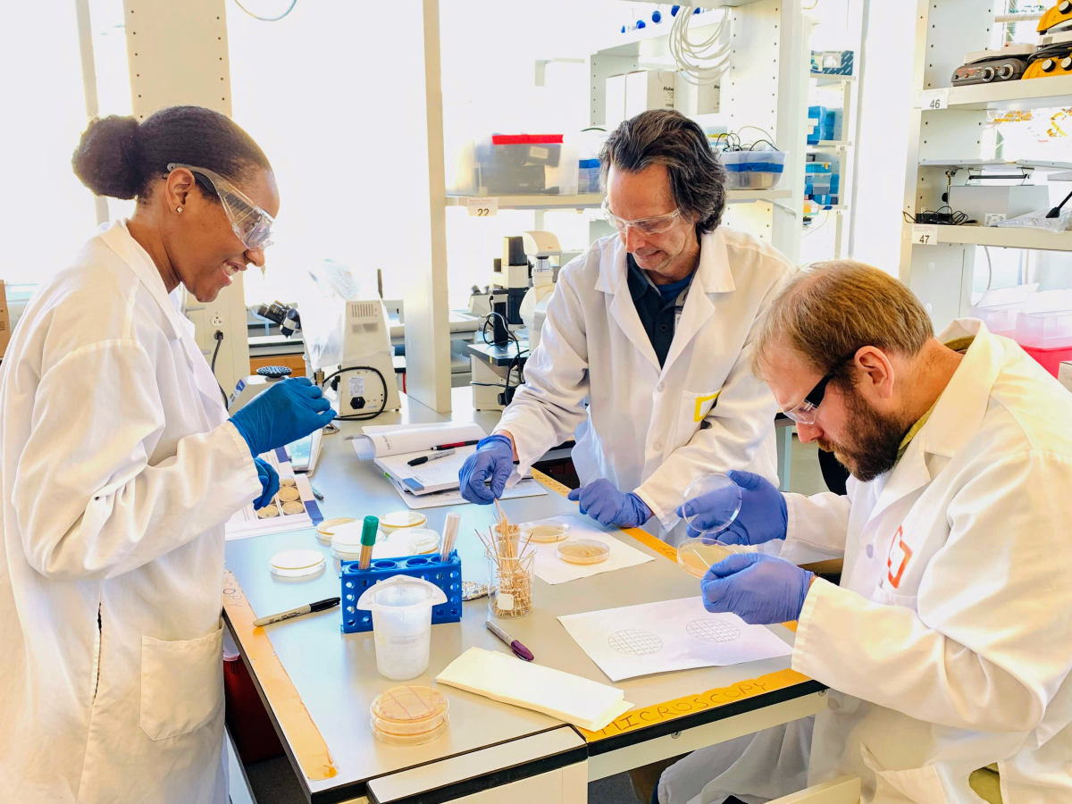 Media & Logos – Tiny Earth