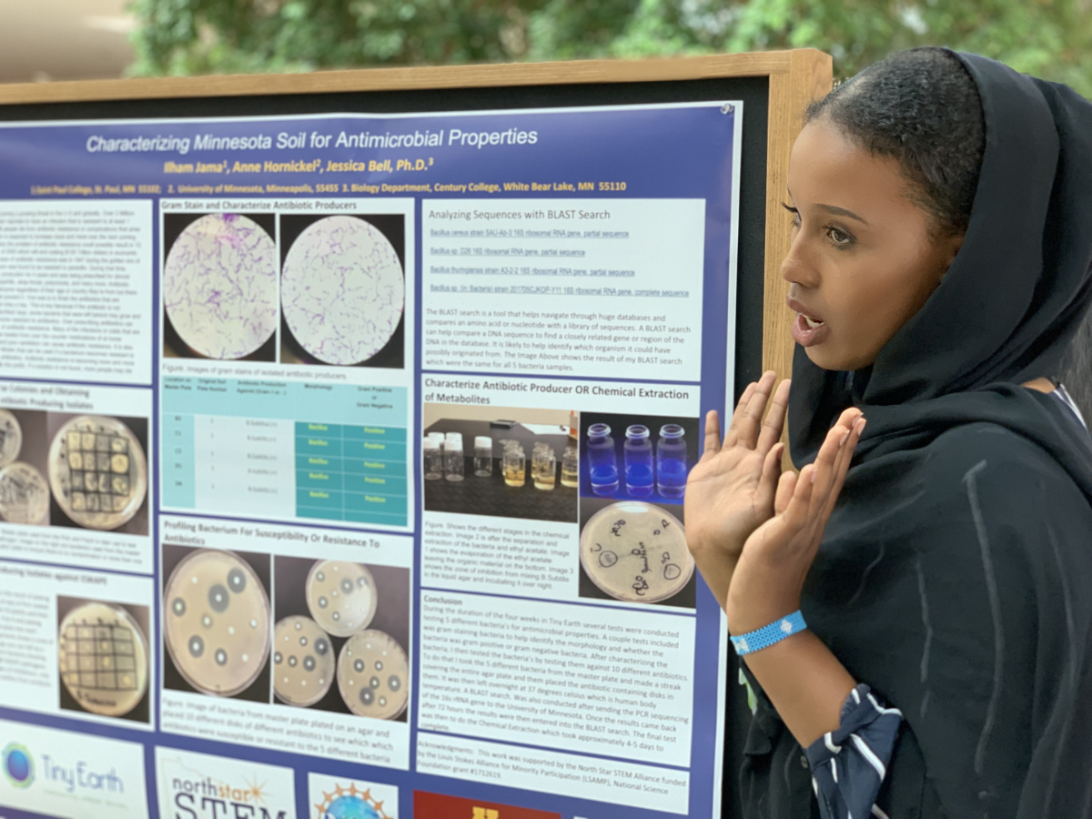 Media & Logos – Tiny Earth