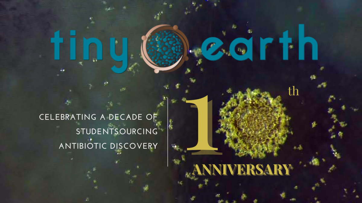 Tiny Earth Celebrates 10 Years – Tiny Earth