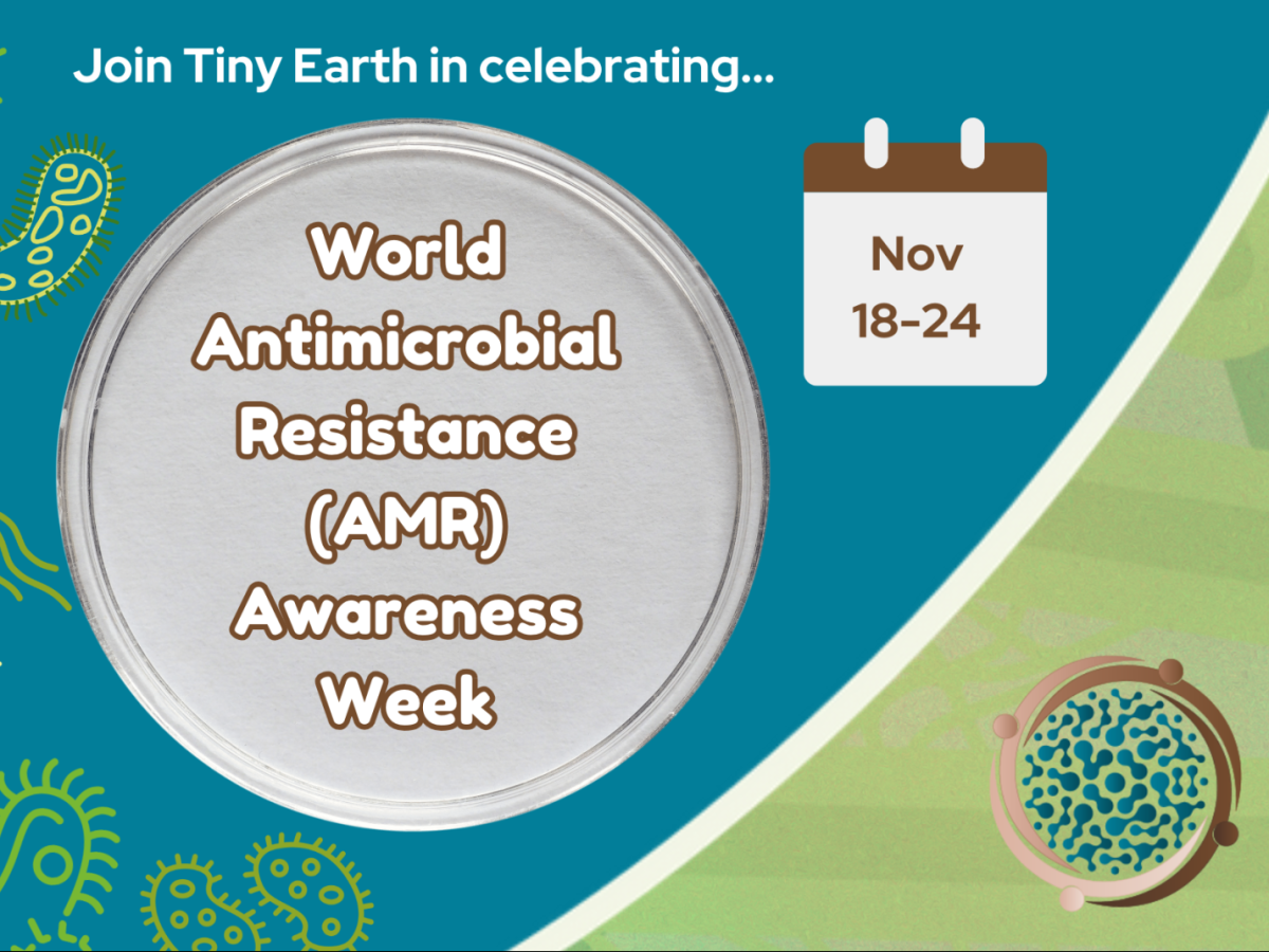 Tiny Earth – studentsourcing antibiotic discovery