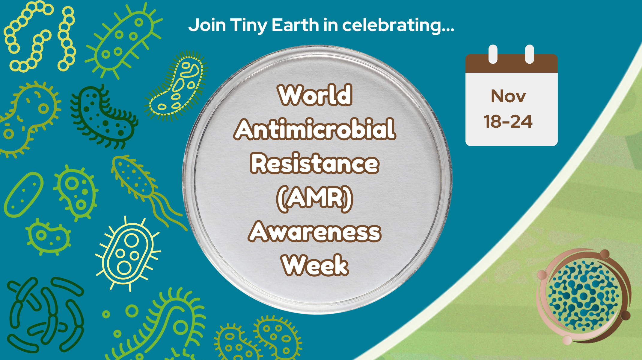 Join Tiny Earth’s “Every Step Counts” Photo Contest for World AMR ...